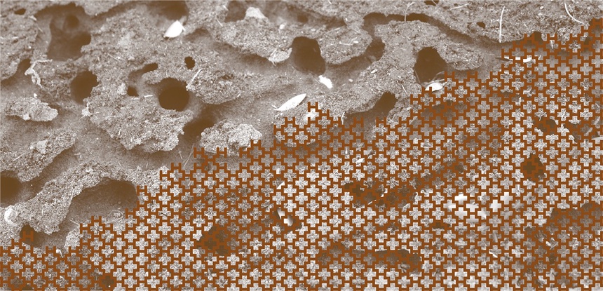 Айдентика Hexarem / Все о дизайне / Pollskill